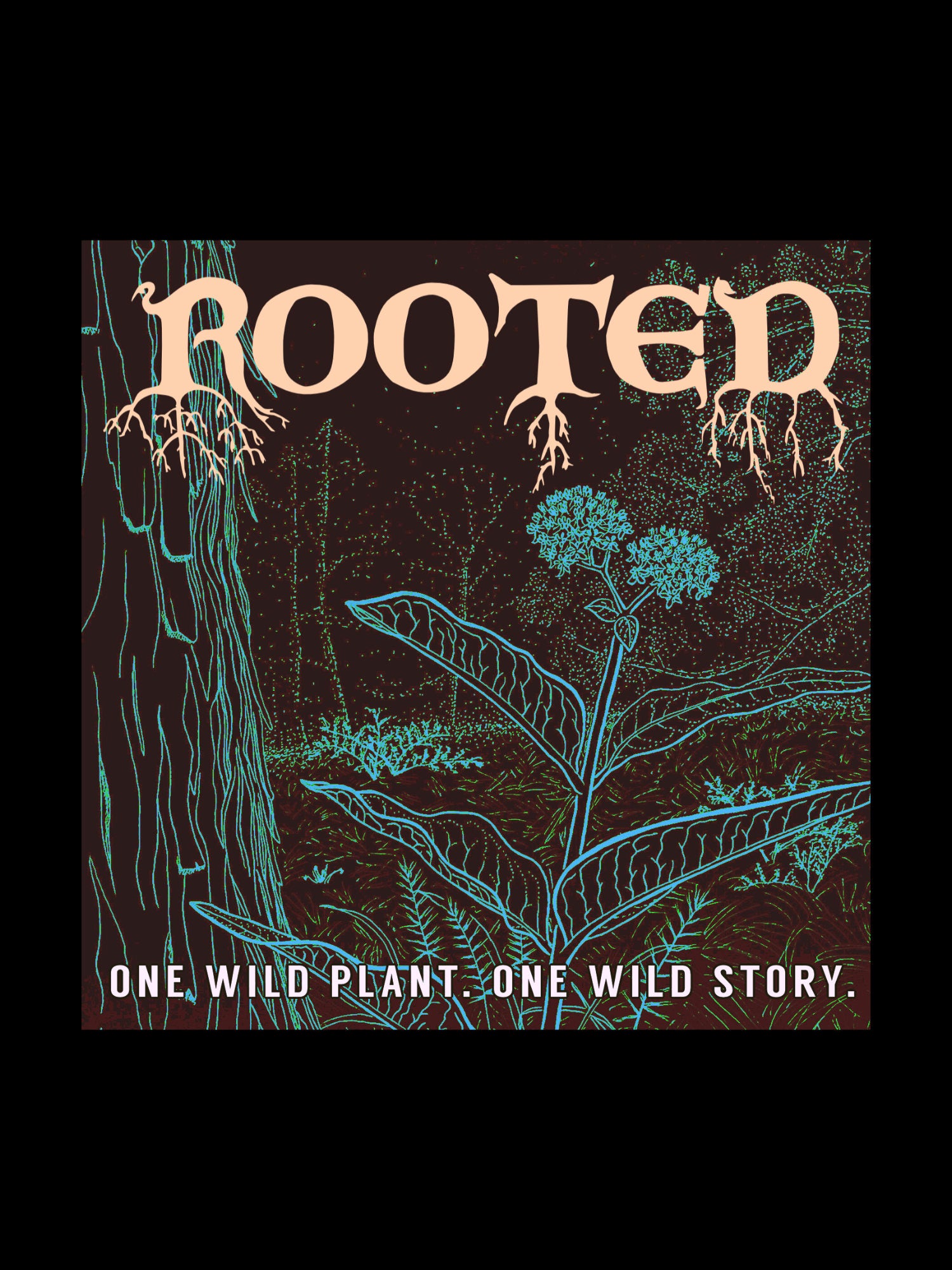 Rooted Sticker | Wild Ridge Plants, LLC